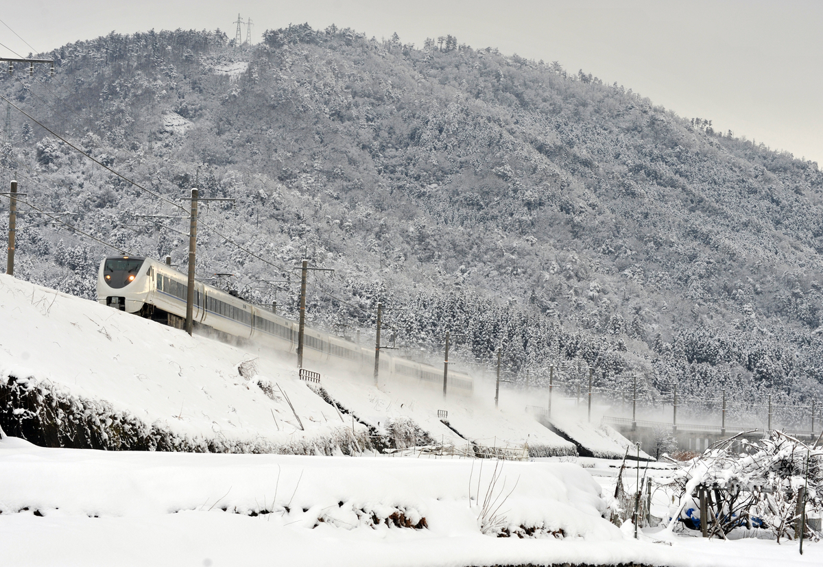 白髭神社の大鳥居と若江鉄道 - 新旧の鉄道と風景の撮影紀行（2）