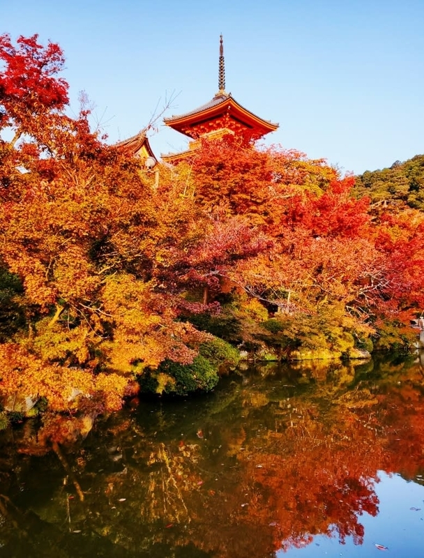 清水寺放生池 - flow Trip -archive-