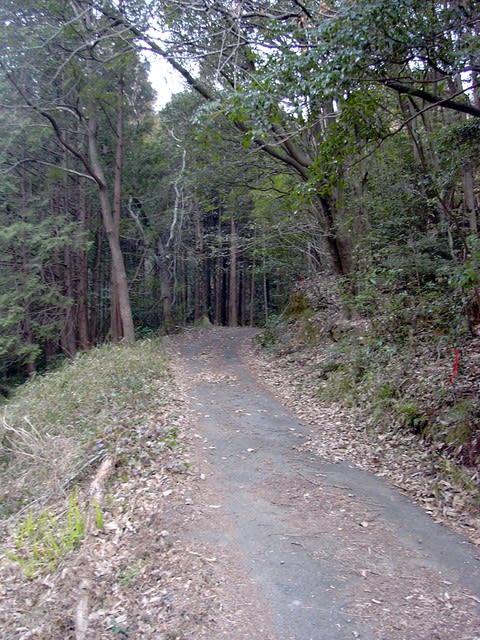 水坂 - flow Trip -archive-