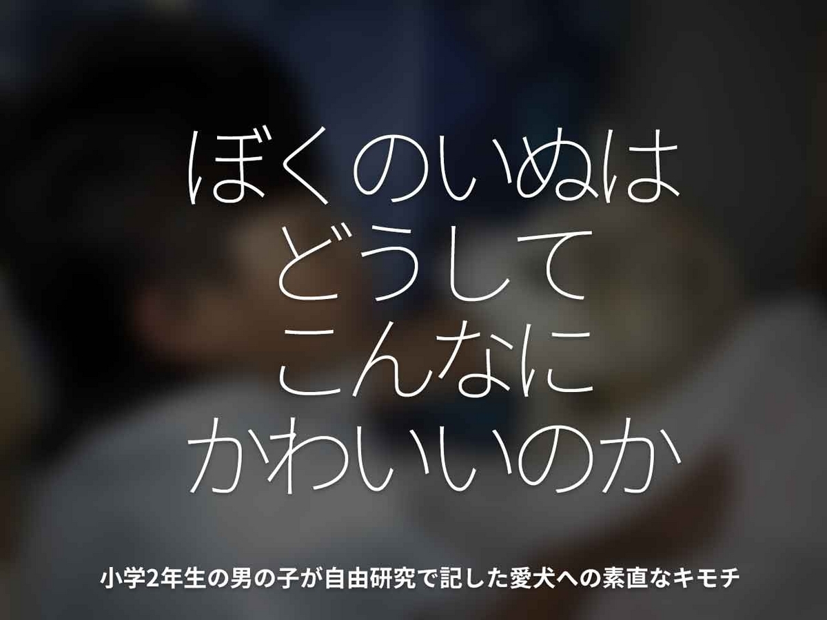 2035食目「ぼくのいぬはどうしてこんなにかわいいのか」小学2年生の男の子が自由研究で記した愛犬への素直なキモチ 適材適食 てきざいてきしょく