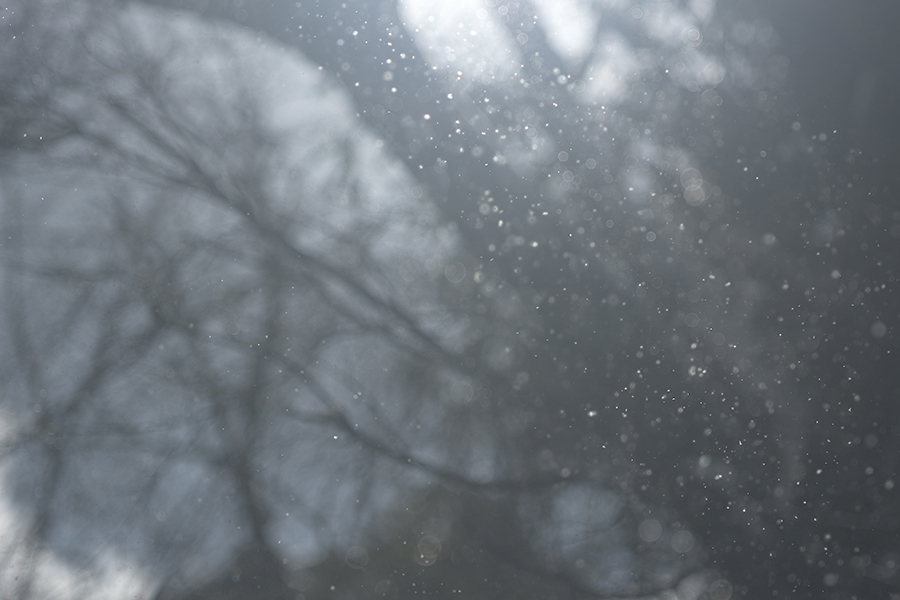 Leica M8 Jpeg⑦ 写真を撮る日々