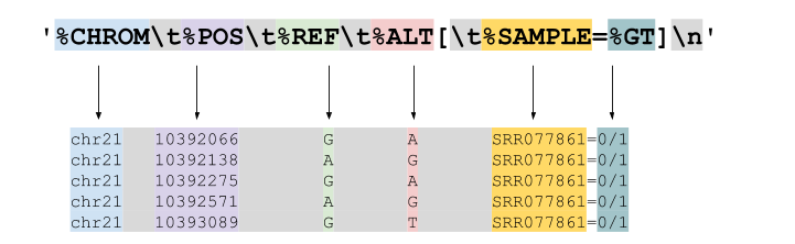 bcftools queryでVCFから情報を抽出する - バイオインフォマティクス実践ラボ｜アメリエフ技術ブログ