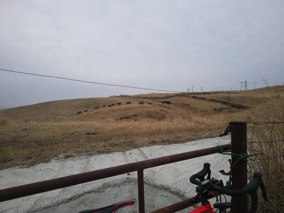 【高森町】さけかすさんぽ【でも未達成】ほか - kuma-miyaのブログ