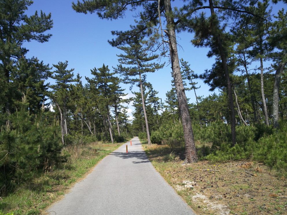 2021BRM424 AJ 岡山 1200 春輝【2日目】 - kuma-miyaのブログ