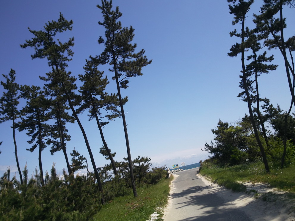 2021BRM424 AJ 岡山 1200 春輝【2日目】 - kuma-miyaのブログ