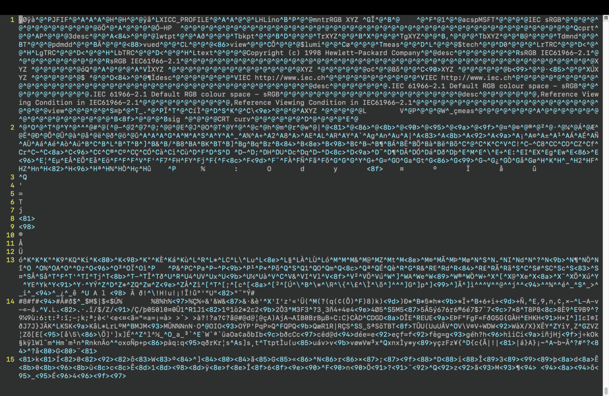 ctf 勉強 strings - kuma033’s diary