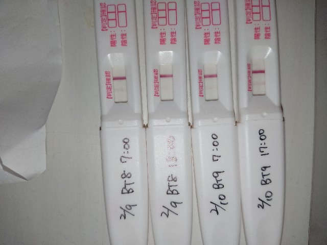 BT8 BT9 フライング - kuma’s blog