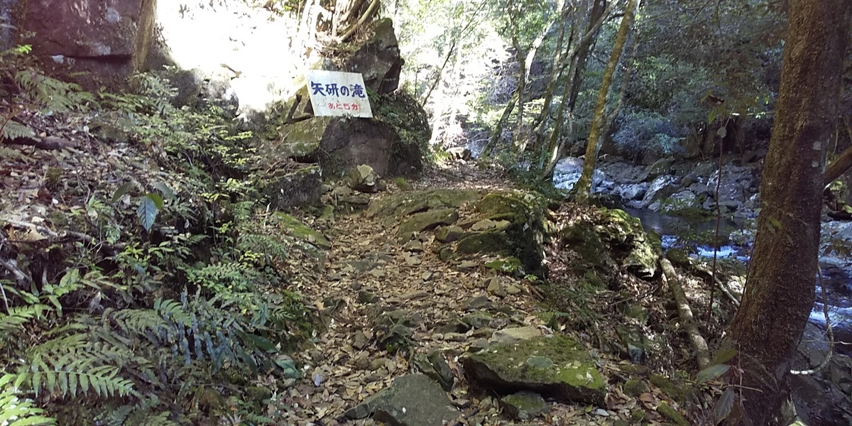 尾鈴山の矢研谷ルートにある若葉の滝 - Kumattaki 癒し滝を求めて