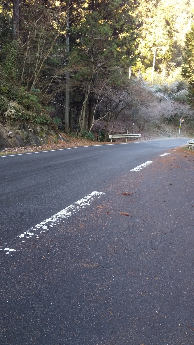 愛知県豊田市沢ノ堂町にある滑岩渓谷にかかる三界の滝 - Kumattaki 癒し滝を求めて