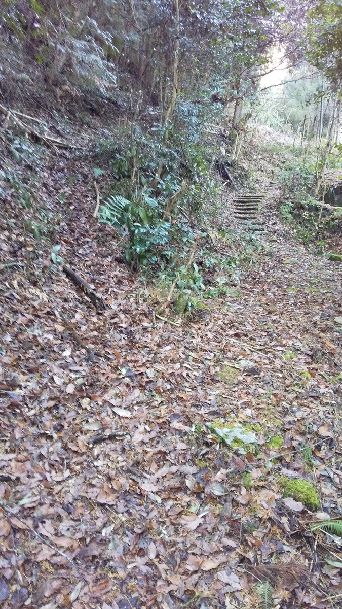 愛知県豊田市沢ノ堂町にある滑岩渓谷にかかる三界の滝 - Kumattaki 癒し滝を求めて