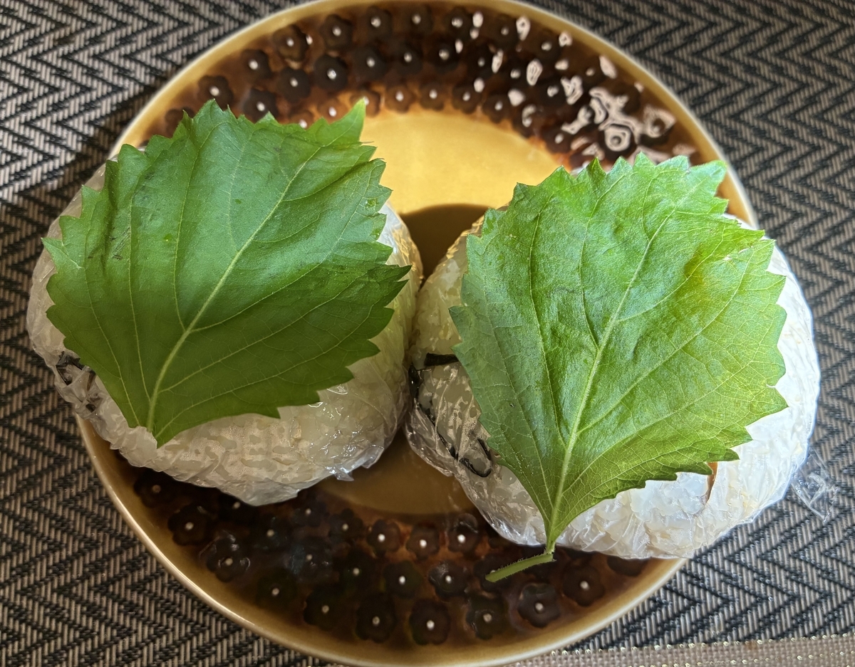 【日記】🍙🌿お昼は塩昆布チーズおにぎり🧀 - 忙しいあなたへ💖｜時短とアイディアで暮らしを楽に（AIを味方に）🍀