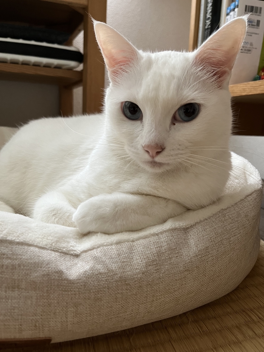 社会福祉法人ななくさ職員の皆さん、特別養護老人ホームえくぼで働く皆さん、労働組合に加入しよう！ - プレカリアートユニオンブログ