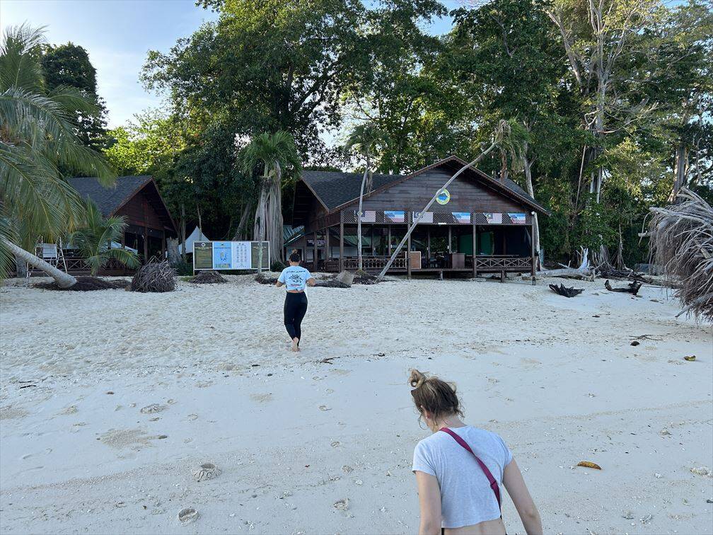 2024年、シパダンでダイビング行ってみた！ダイブジャンキーマブール滞在【ホテル、ツアー、カパライ】 - Travel Kurarin