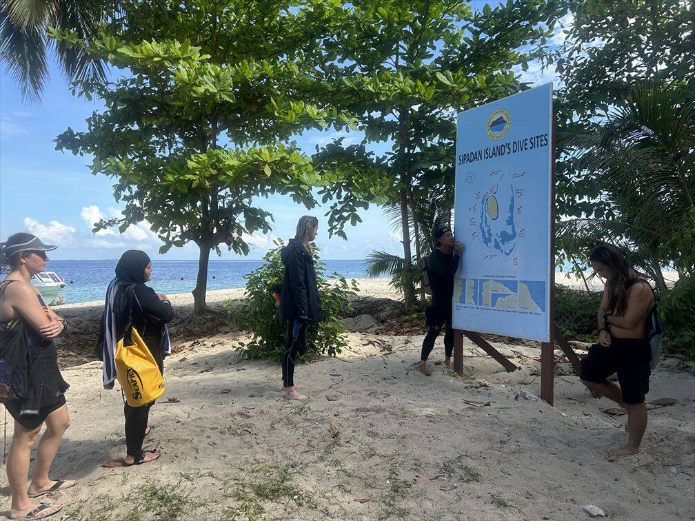 2024年、シパダンでダイビング行ってみた！ダイブジャンキーマブール滞在【ホテル、ツアー、カパライ】 - Travel Kurarin