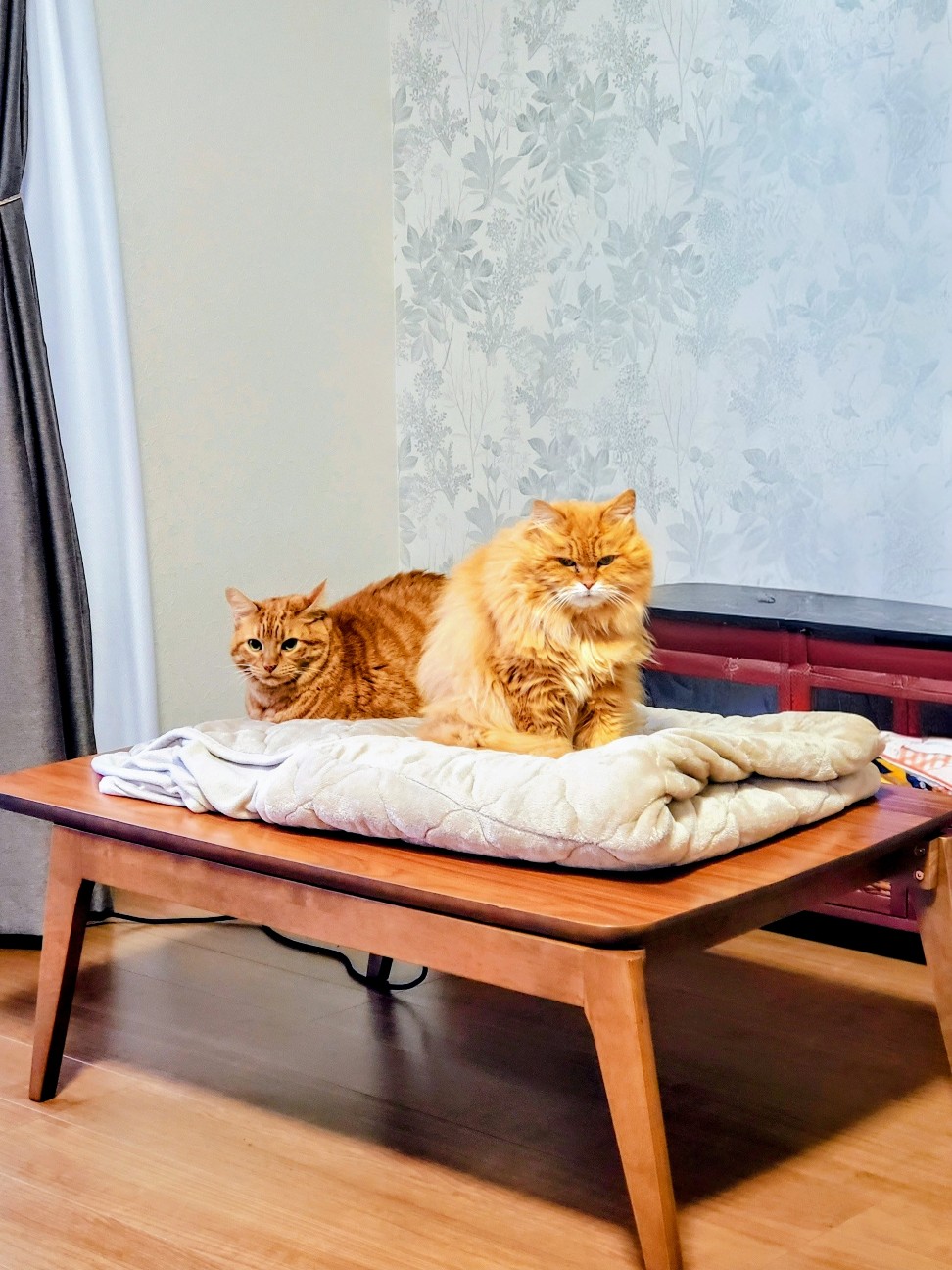 昼寝はいいけど、早朝の運動会はやめて欲しい - ゴルフのお時間・・上田ぐらし