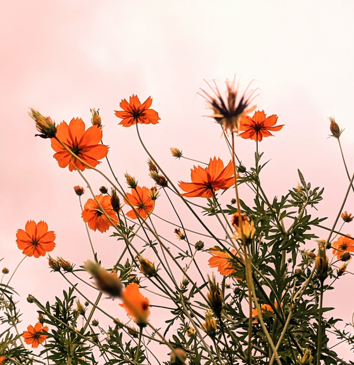 習ってません… - TETSU JUKU