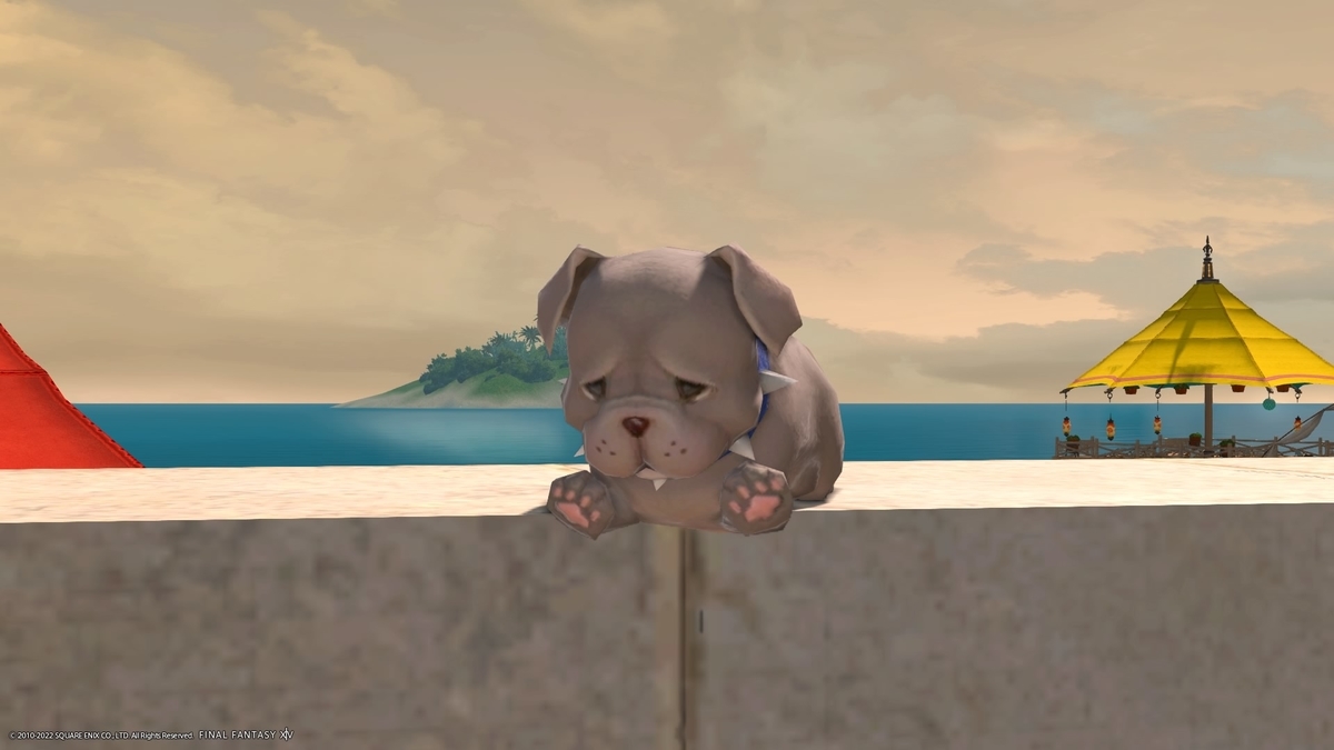 【FFXIV】軍票ガチャ 20連!! - ef ef14の軌跡