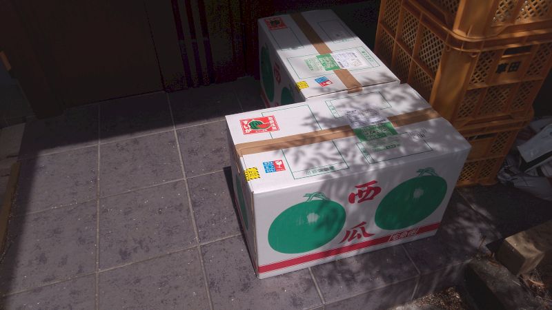 鳥取からスイカが届きました - リタイヤ親父の暇つぶし