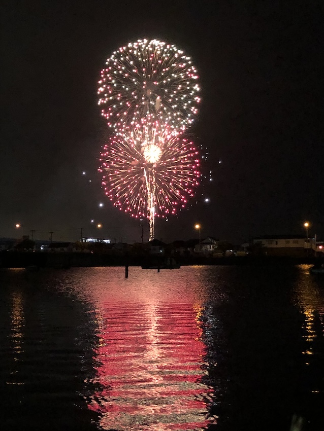 ファイヤーワークス・ラッフル Fireworks Ruffle - Portraits of Roses