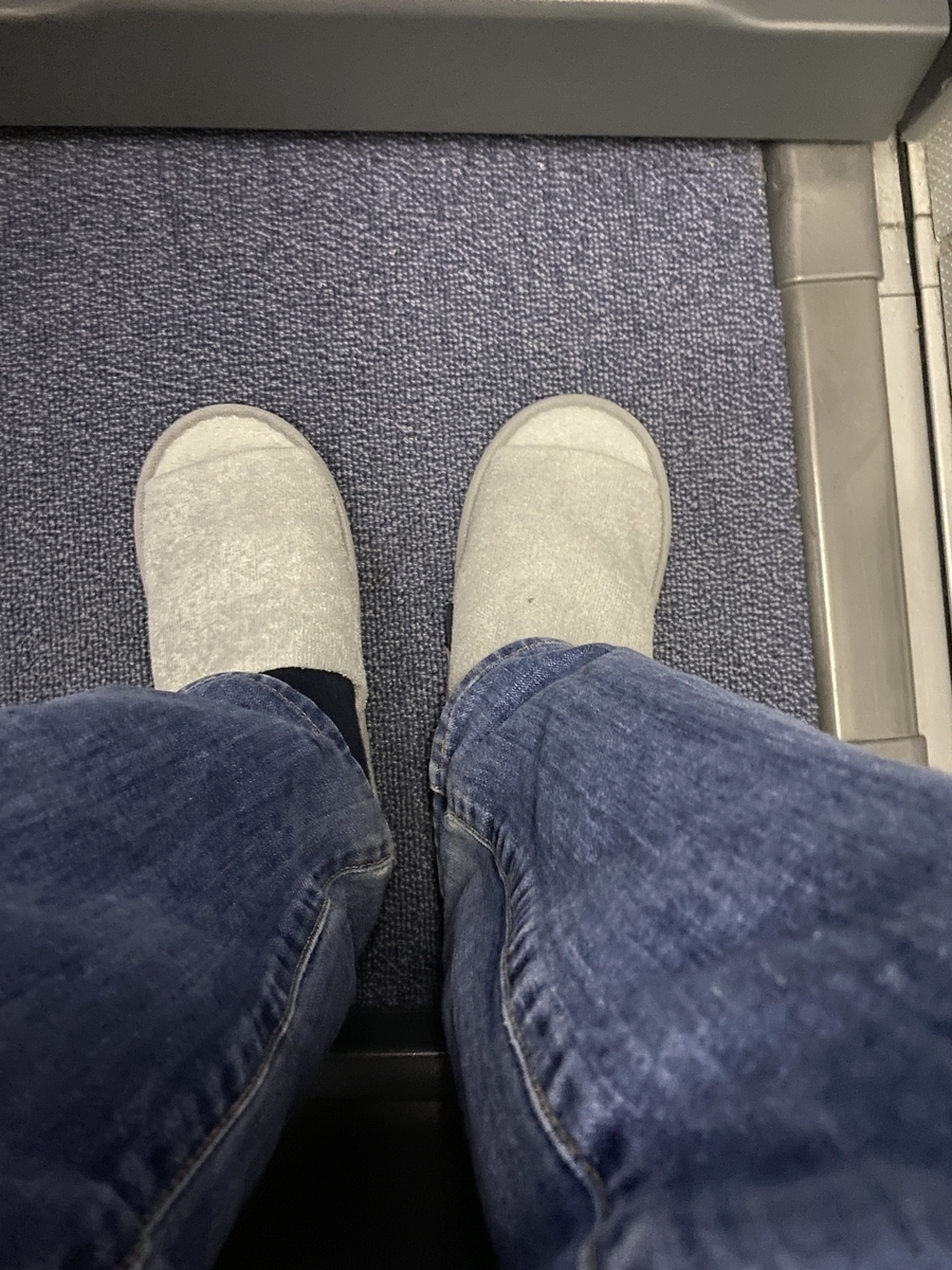 【人生初ビジネスクラス】ANA NH107 サンフランシスコ→羽田 搭乗記！フルフラットで快眠 - wakamaga