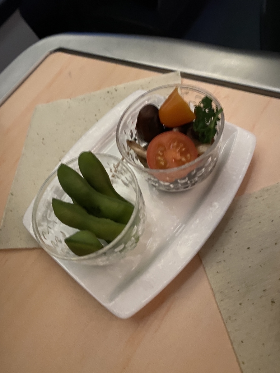 【人生初ビジネスクラス】ANA NH107 サンフランシスコ→羽田 搭乗記！フルフラットで快眠 - wakamaga