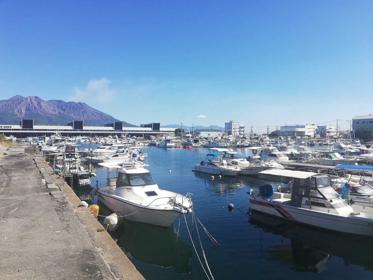 個別「20221026114751」の写真、画像 - kyhy's fotolife