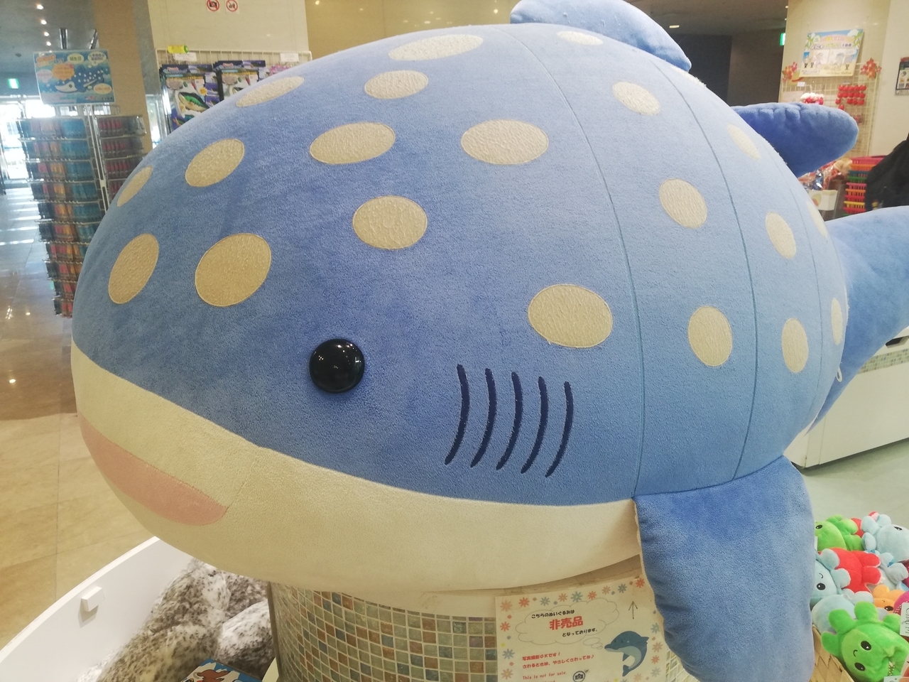 個別「20221026114947」の写真、画像 - kyhy's fotolife