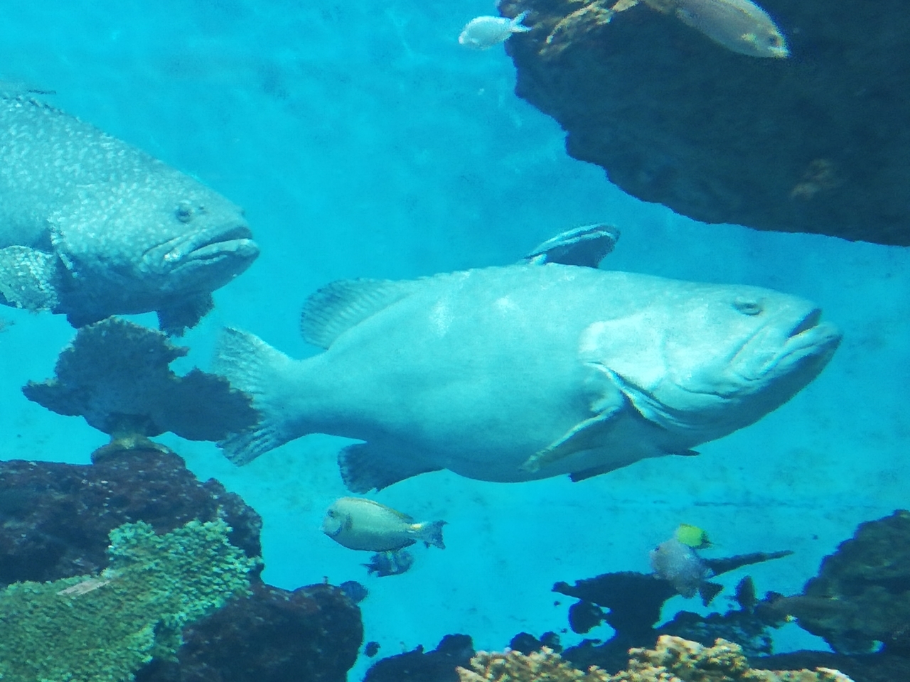 暮らし。10月16日から10月31日。 - これはフィクションです