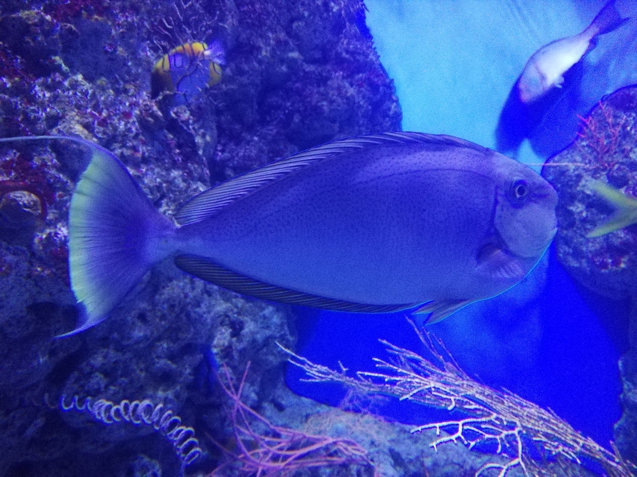 暮らし。10月16日から10月31日。 - これはフィクションです