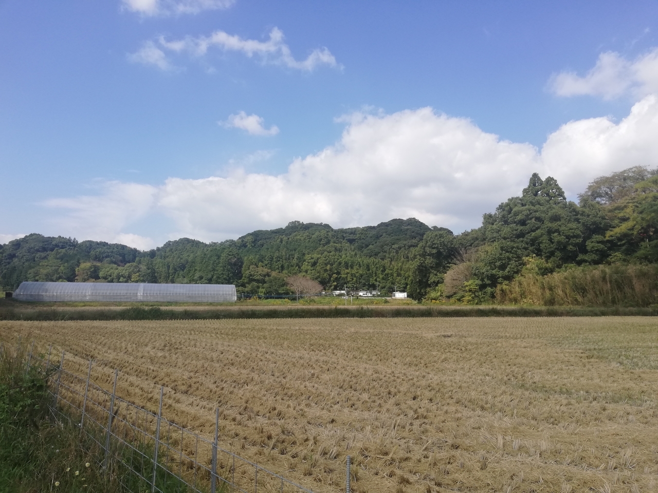 暮らし。10月16日から10月31日。 - これはフィクションです