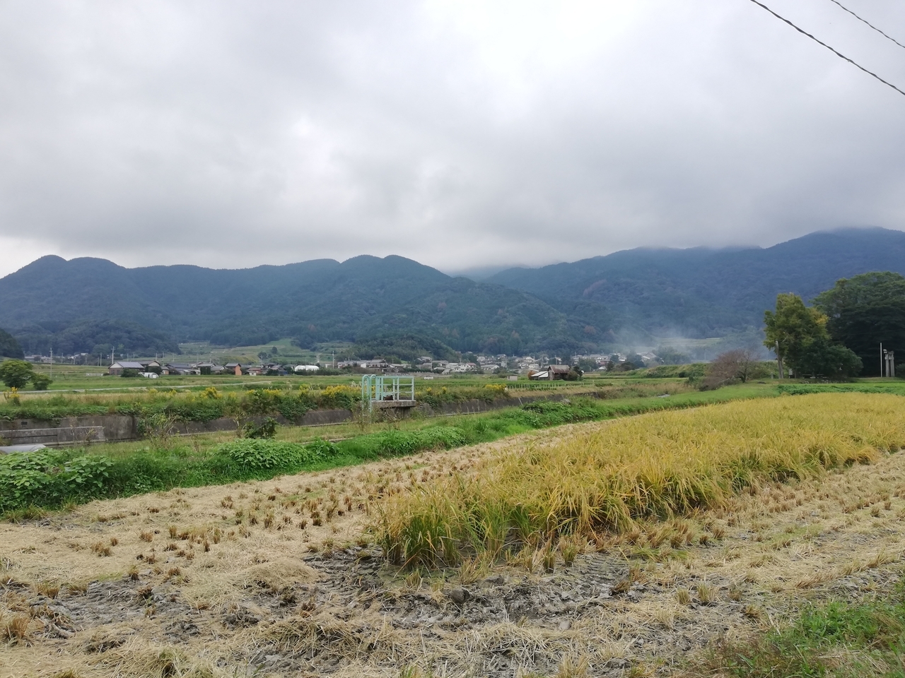 暮らし。10月16日から10月31日。 - これはフィクションです