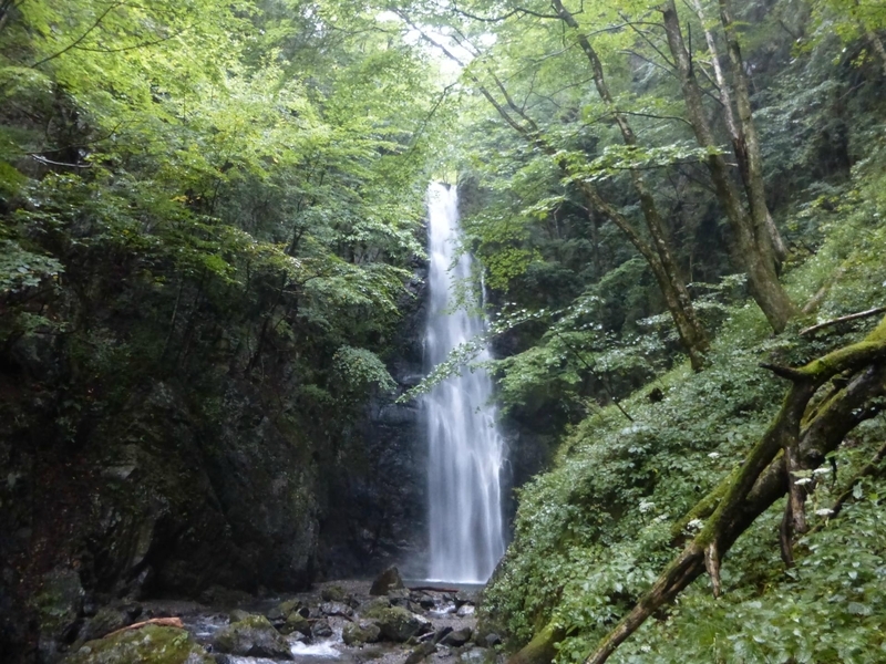 川苔山(川乗山) - 香彩日記
