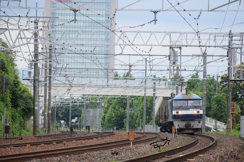 通達182 「 消えたロゴマーク！EF210-105号機を狙う 」 - 写真は鉄で出来ている。