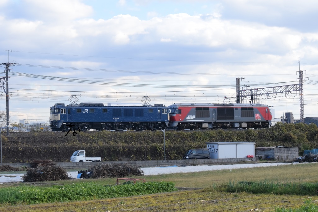 通達341 「 甲173 JR貨物 DF200-216号機の甲種輸送を狙う 」 - 写真は鉄で出来ている。