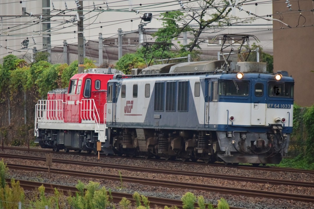 第984列車 「 甲113 JR貨物DD200-2の甲種輸送を狙う 」 - 写真は鉄で出来ている。