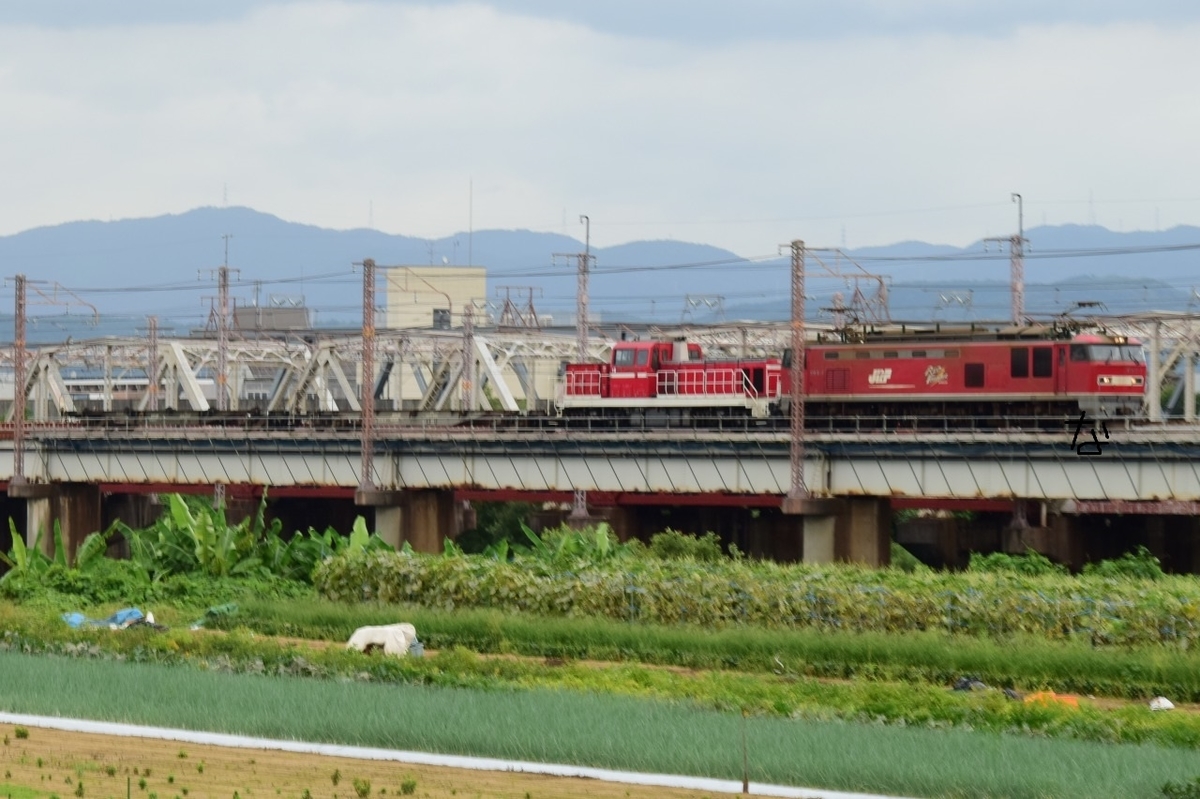 第1652列車 「 南福井行き！DE10 3508の送込み配給を狙う 」 - 写真は鉄で出来ている。