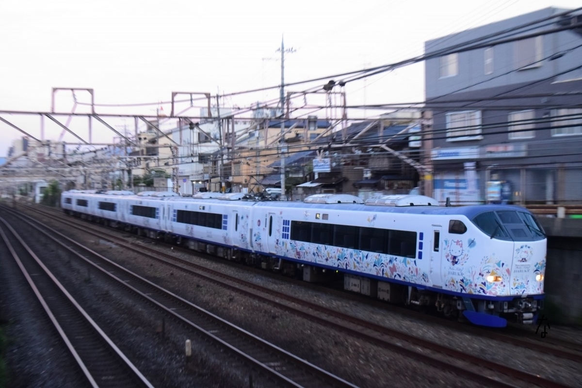第1711列車 「 甲104 相模鉄道21000系(21103f)の甲種輸送を狙う 」 - 写真は鉄で出来ている。