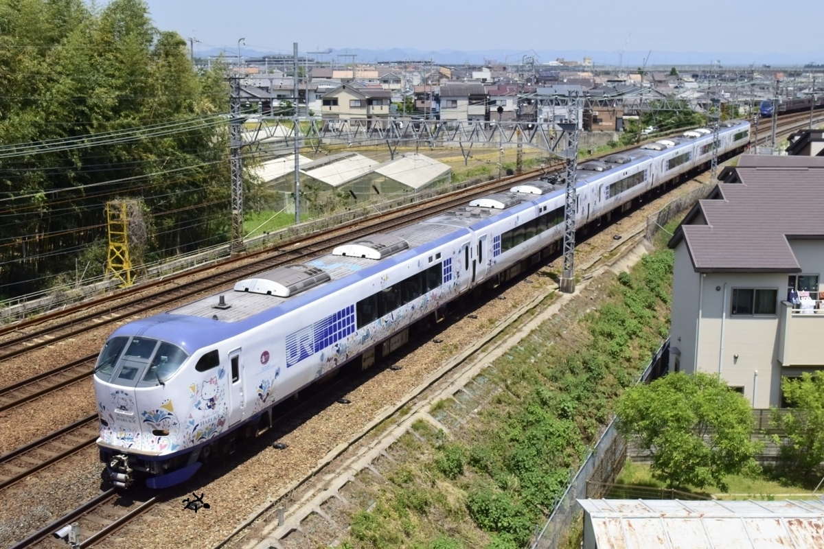 第2351列車 「 113系L15+L9編成の宮原再疎開回送を狙う 」 - 写真は鉄で出来ている。