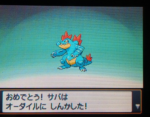 ゲーム：ポケモンDPt・HGSS 第181回＋＋＋＋ - とある廃人の趣味日記