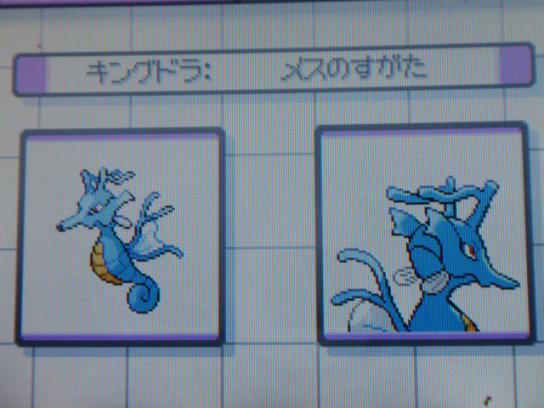 ゲーム：ポケモンDPt・HGSS 第181回＋＋＋＋ - とある廃人の趣味日記