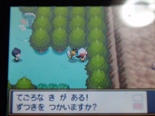 ゲーム：ポケモンDPt・HGSS 第181回＋＋ - とある廃人の趣味日記