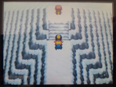 ゲーム：ポケモンDPt・HGSS 第189回 - とある廃人の趣味日記