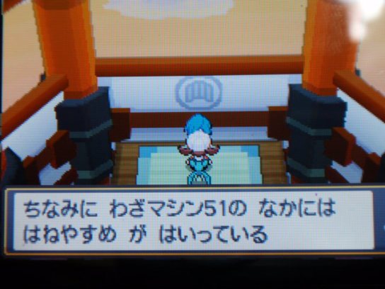 ゲーム：ポケモンDPt・HGSS 第181回 - とある廃人の趣味日記