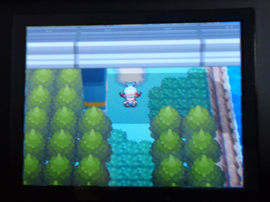 ゲーム：ポケモンDPt・HGSS 第181回 - とある廃人の趣味日記