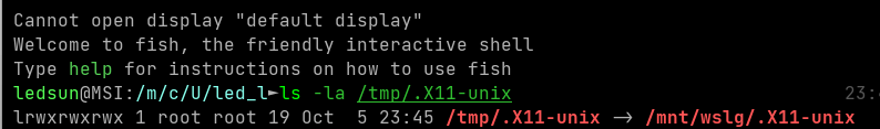 Cannot open display ":0" - @ledsun blog