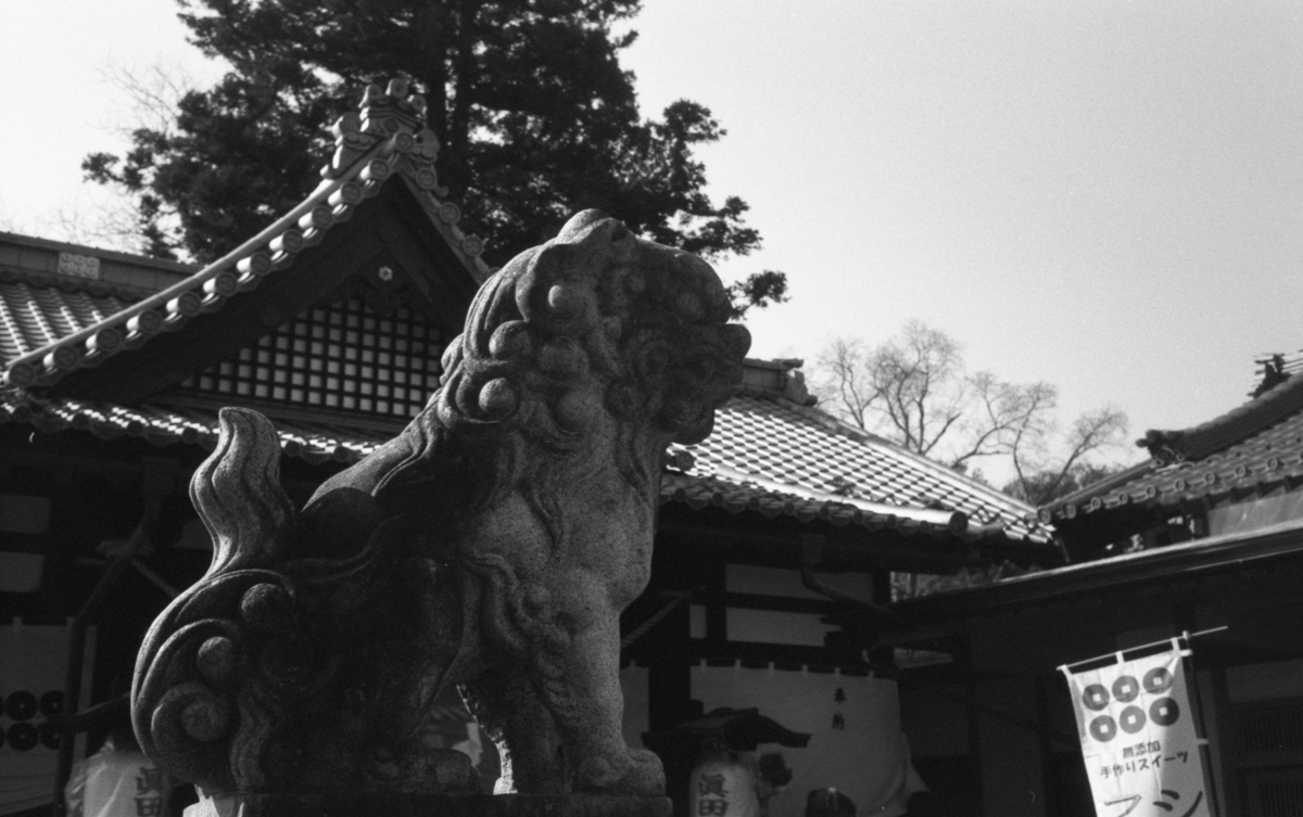 Photo No.2443 / 今日も何もなく - アラカンいろいろありすぎ