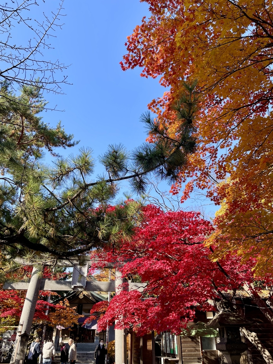 3Iアトラスの謎 ️高次元からのメッセージ 古よりの宇宙生命との関係性 - 愛と光のスピリチュアルメッセージFlidais★NINA