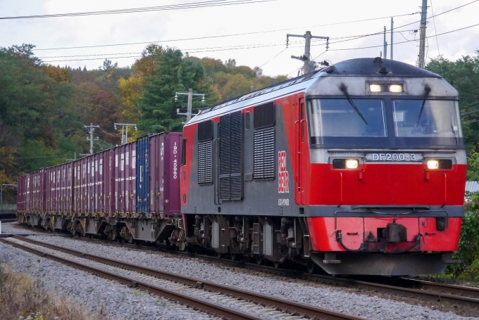 レッドベアーことdf200の後継機はどんな車両となるのか？ - 本棚の住人の鉄道忘備録