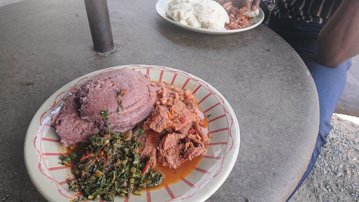 協力隊活動420/730日目 - せかいのはしっこ-協力隊員日記-