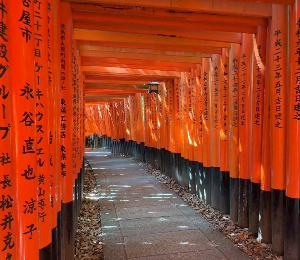 伏見稲荷と東福寺 - 地理学徒の語り